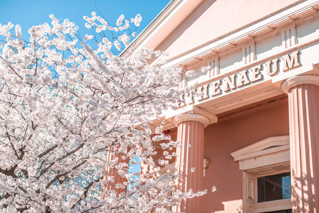 Top Things to Do This Spring in Alexandria, VA