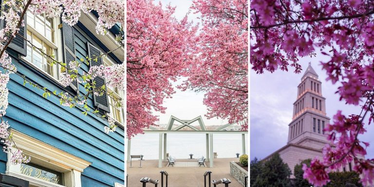 10 Stunning Spring Instagram Spots in Alexandria, VA