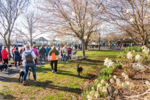 Top Things to Do This Spring in Alexandria, VA