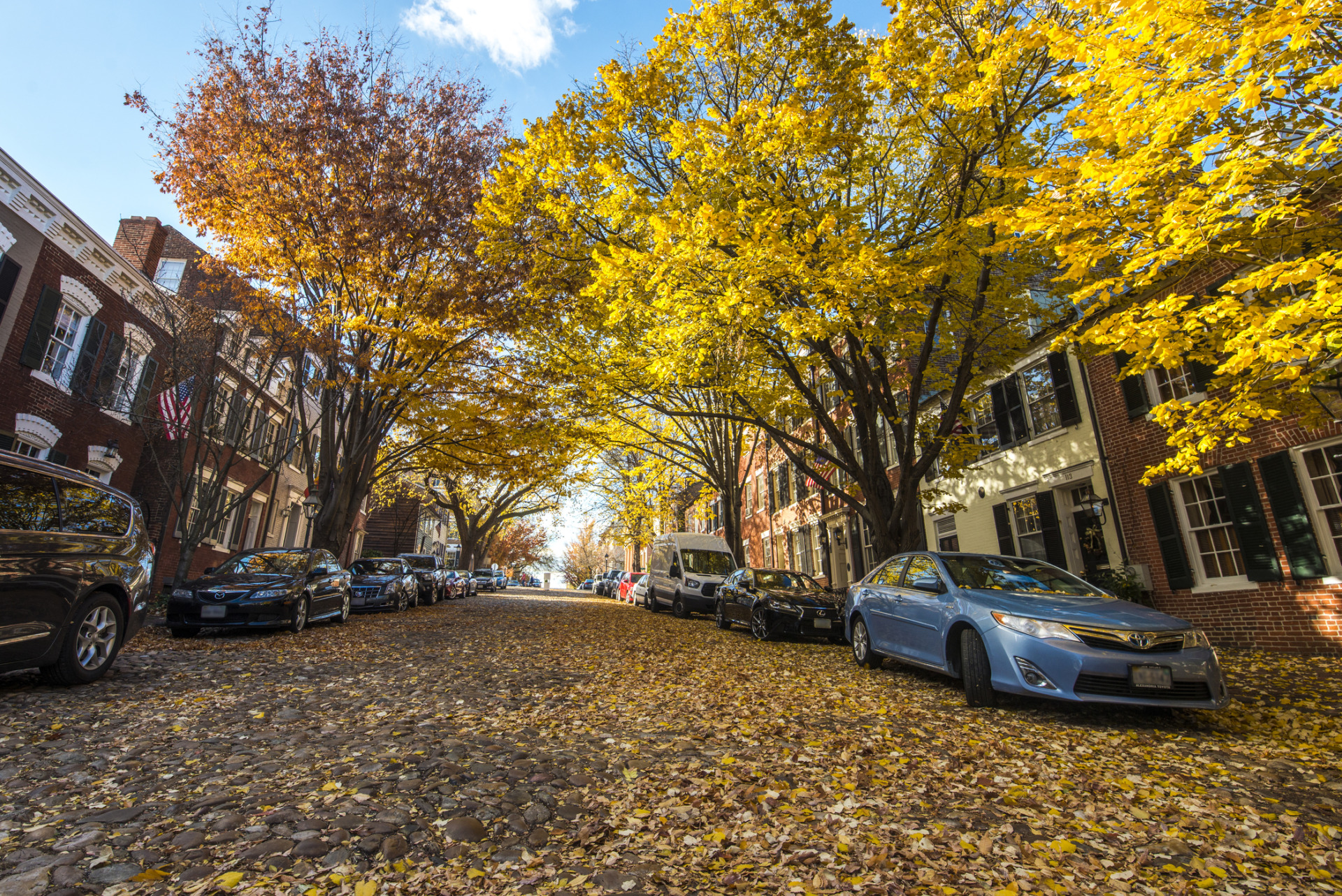 Top Things to Do This Fall in Alexandria, VA 2025