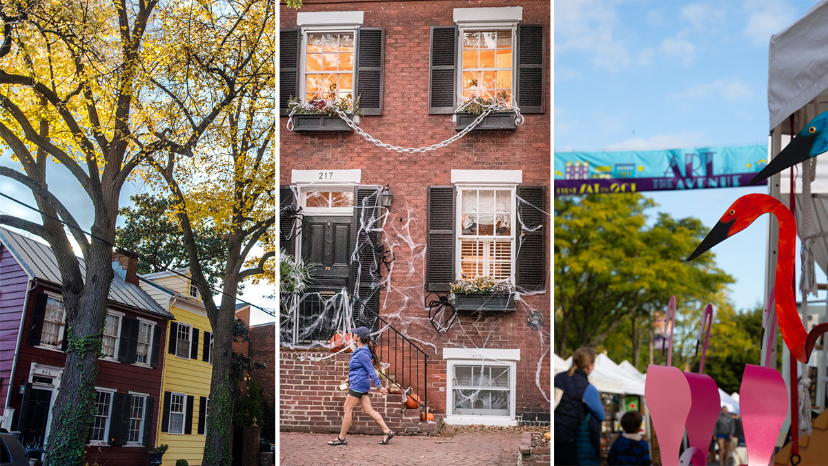 Top Things to Do This Fall in Alexandria, VA