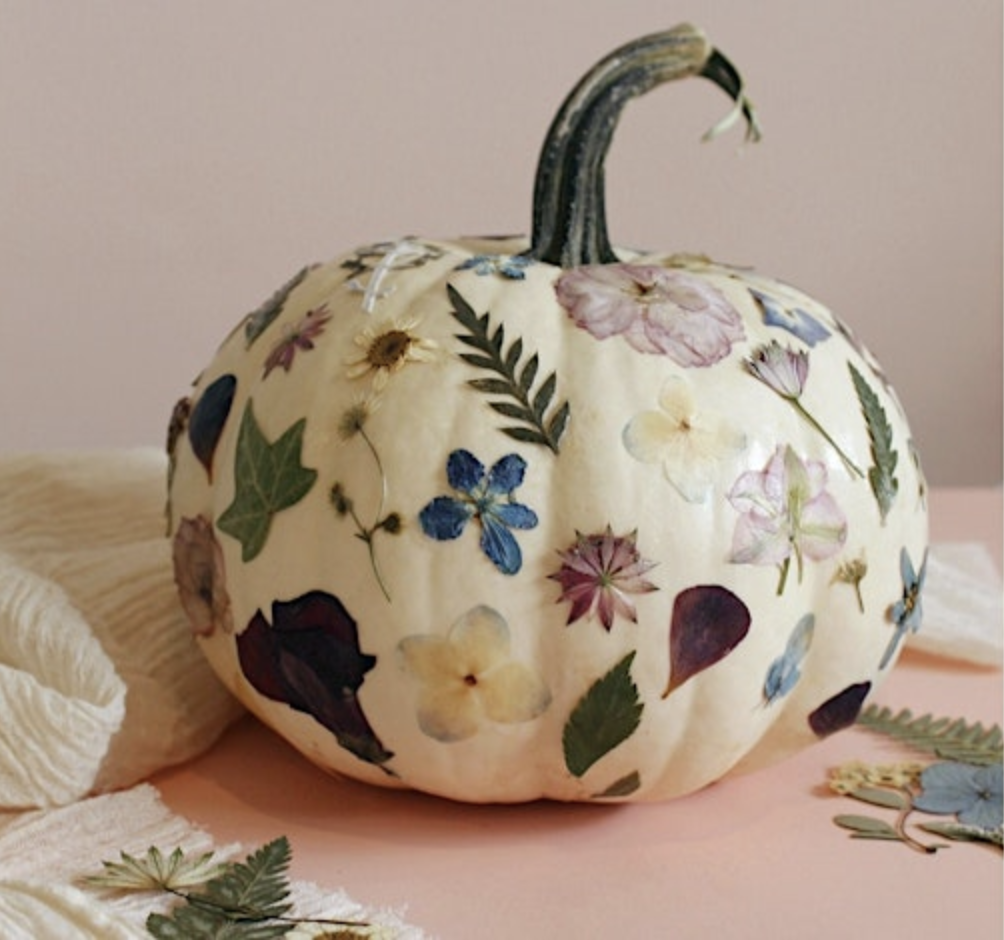 Make It Thursday- Pressed Flower Pumpkins | Visit Alexandria